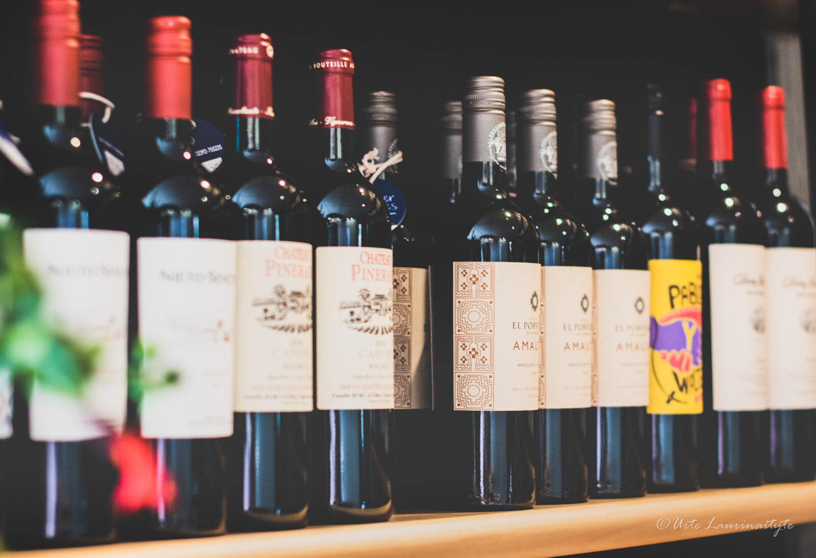 Monthly 6 Bottles Whites Only Subscription - Camber Wines